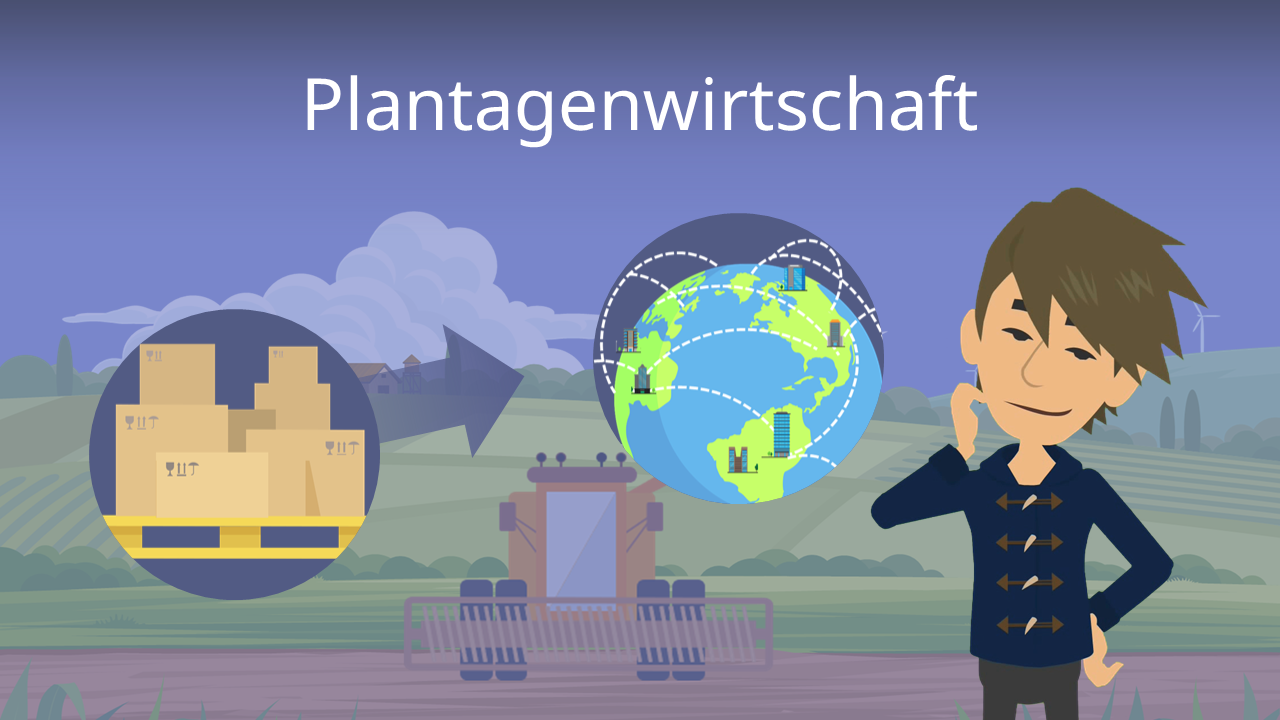 Plantagenwirtschaft • einfach erklärt · [mit Video]