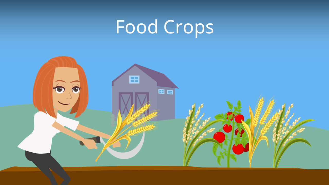 Food Crops • einfach erklärt, Merkmale · [mit Video]