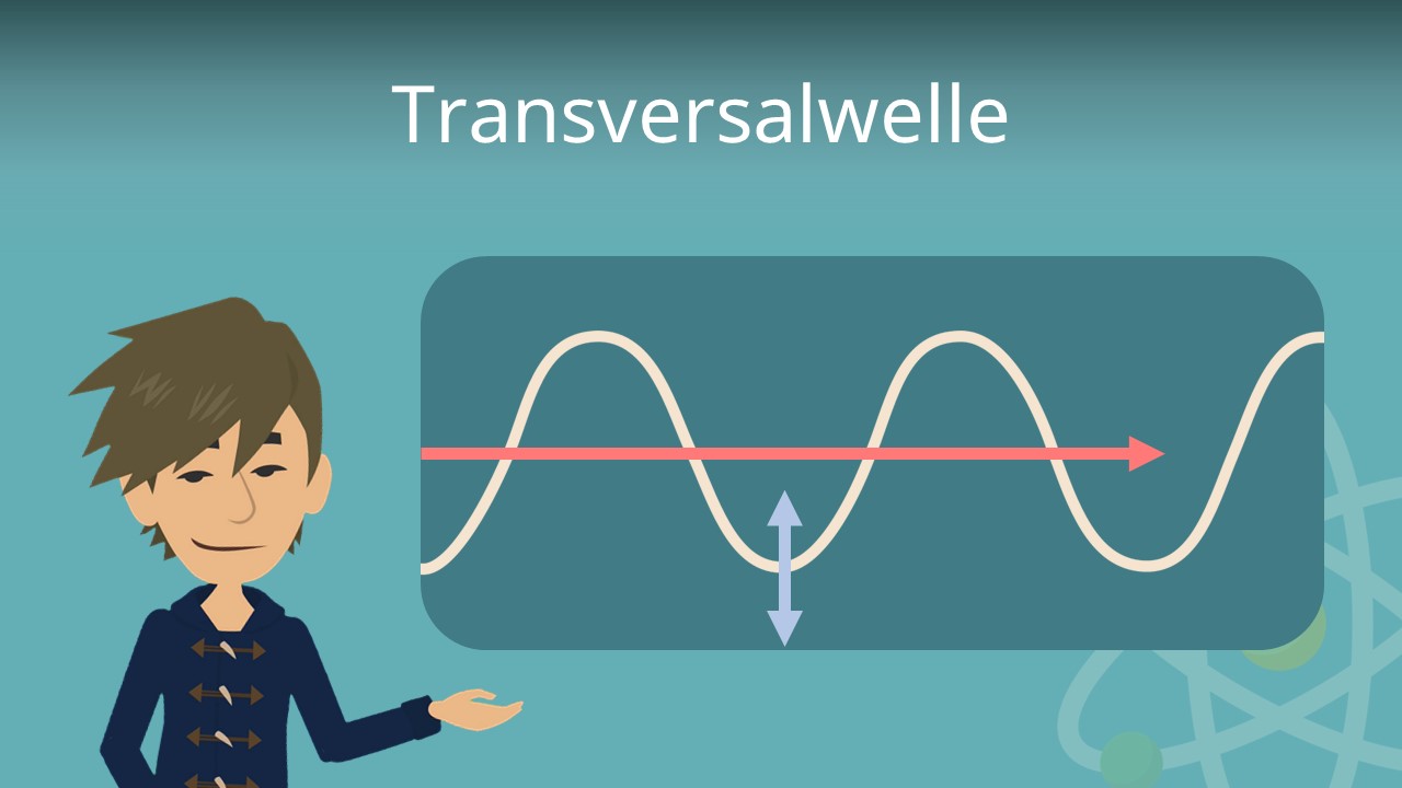 Transversalwelle • Einfach erklärt · [mit Video]