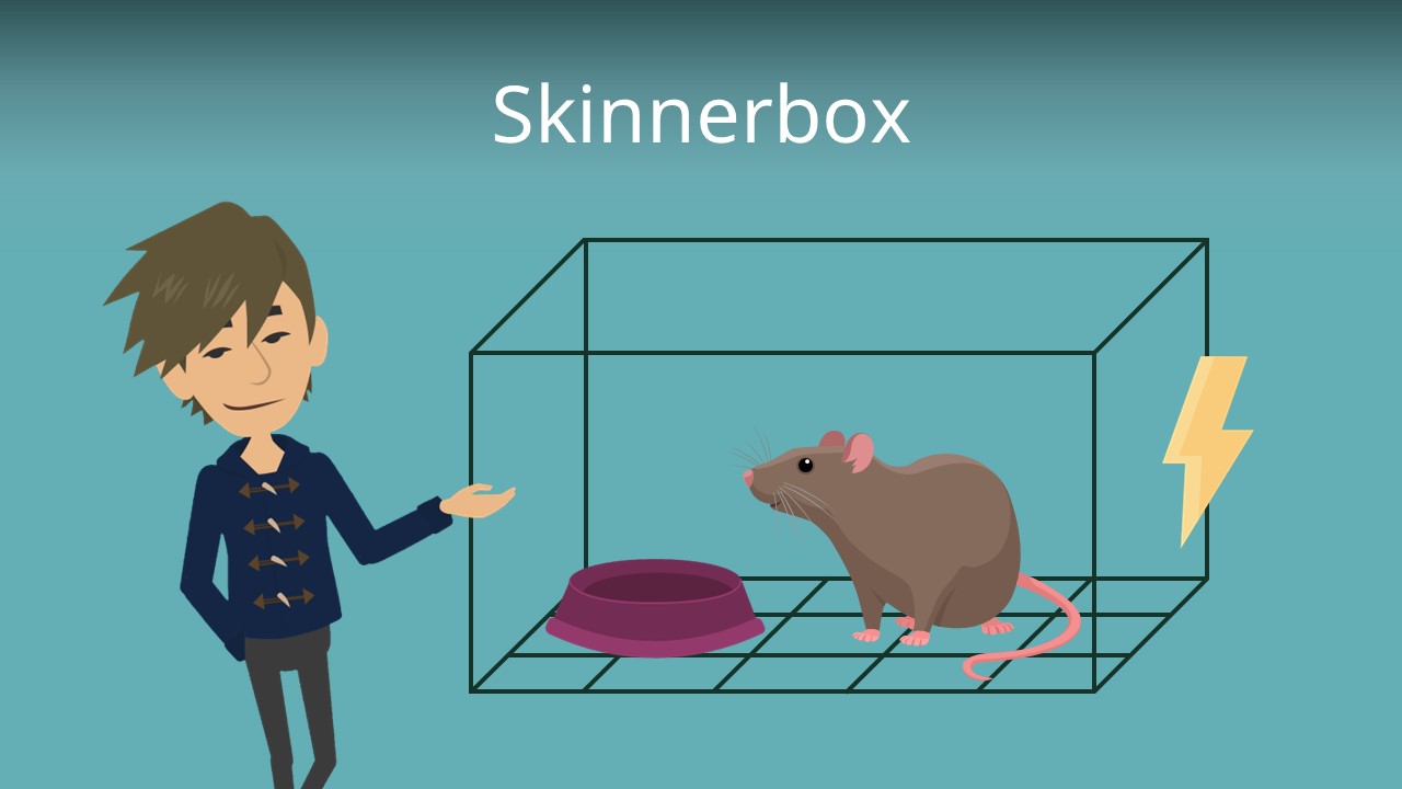Skinnerbox • Versuchsaufbau und Erkenntnisse · [mit Video]