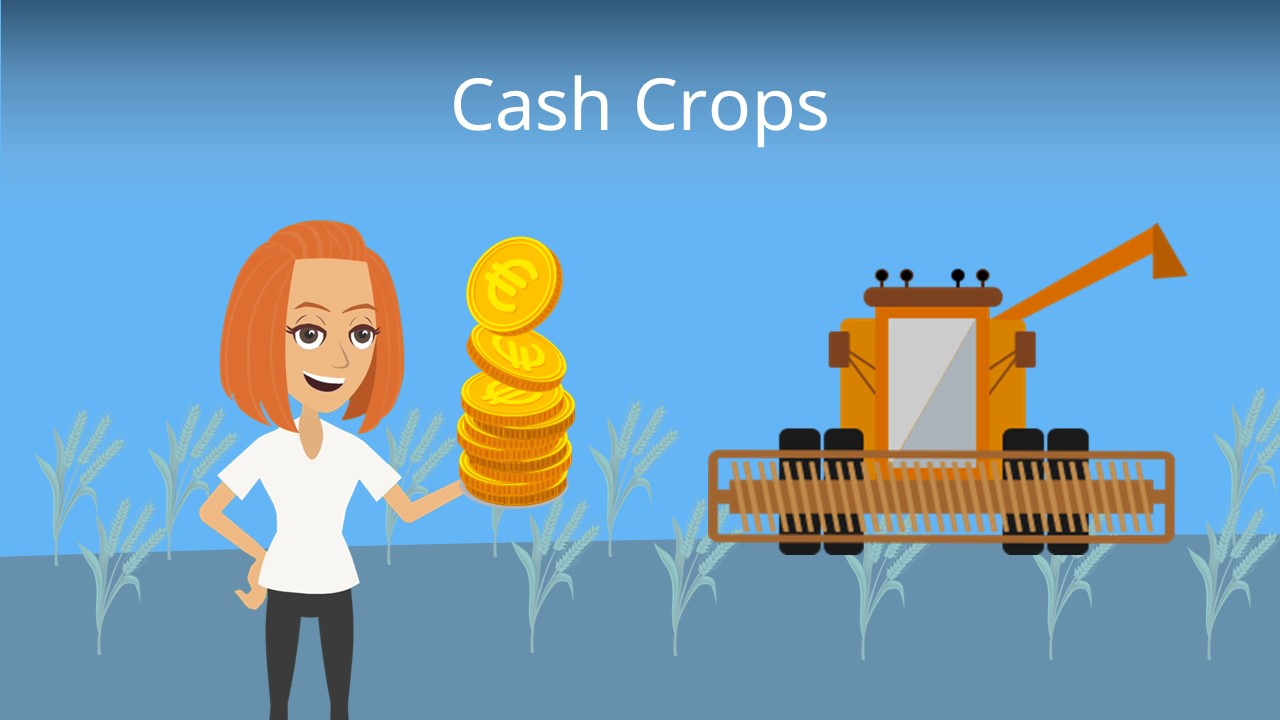 Cash Crops • einfach erklärt, Vor- und Nachteile · [mit Video]