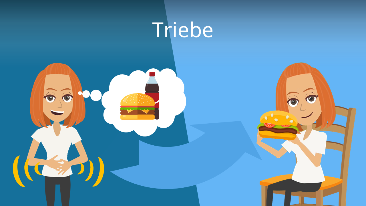 Triebe • einfach erklärt · [mit Video]