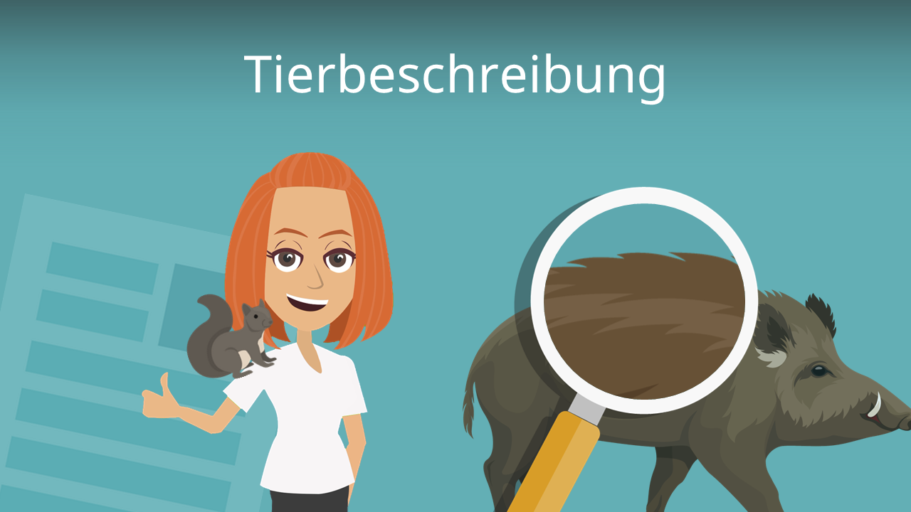 Tierbeschreibung • Aufbau und Beispiele · [mit Video]