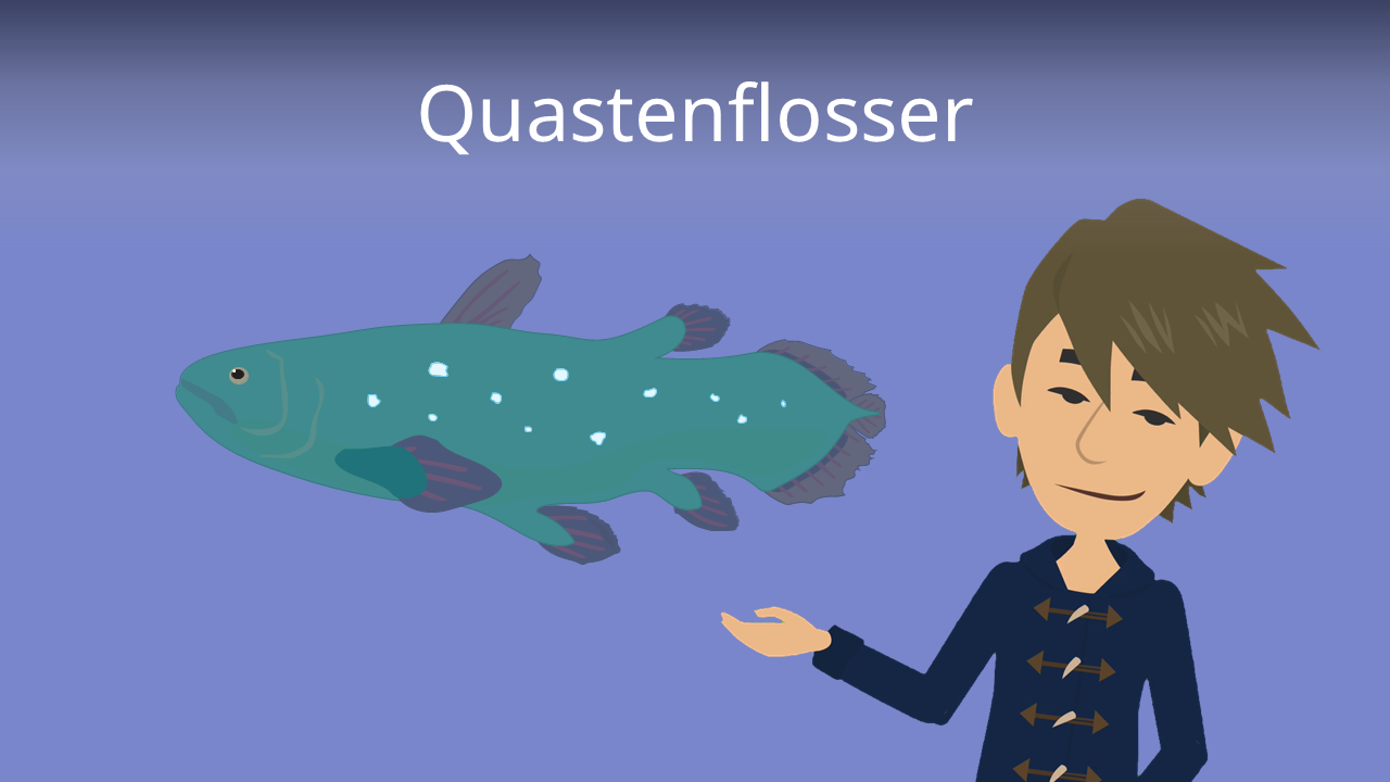 Quastenflosser • Steckbrief, Brückentier · [mit Video]